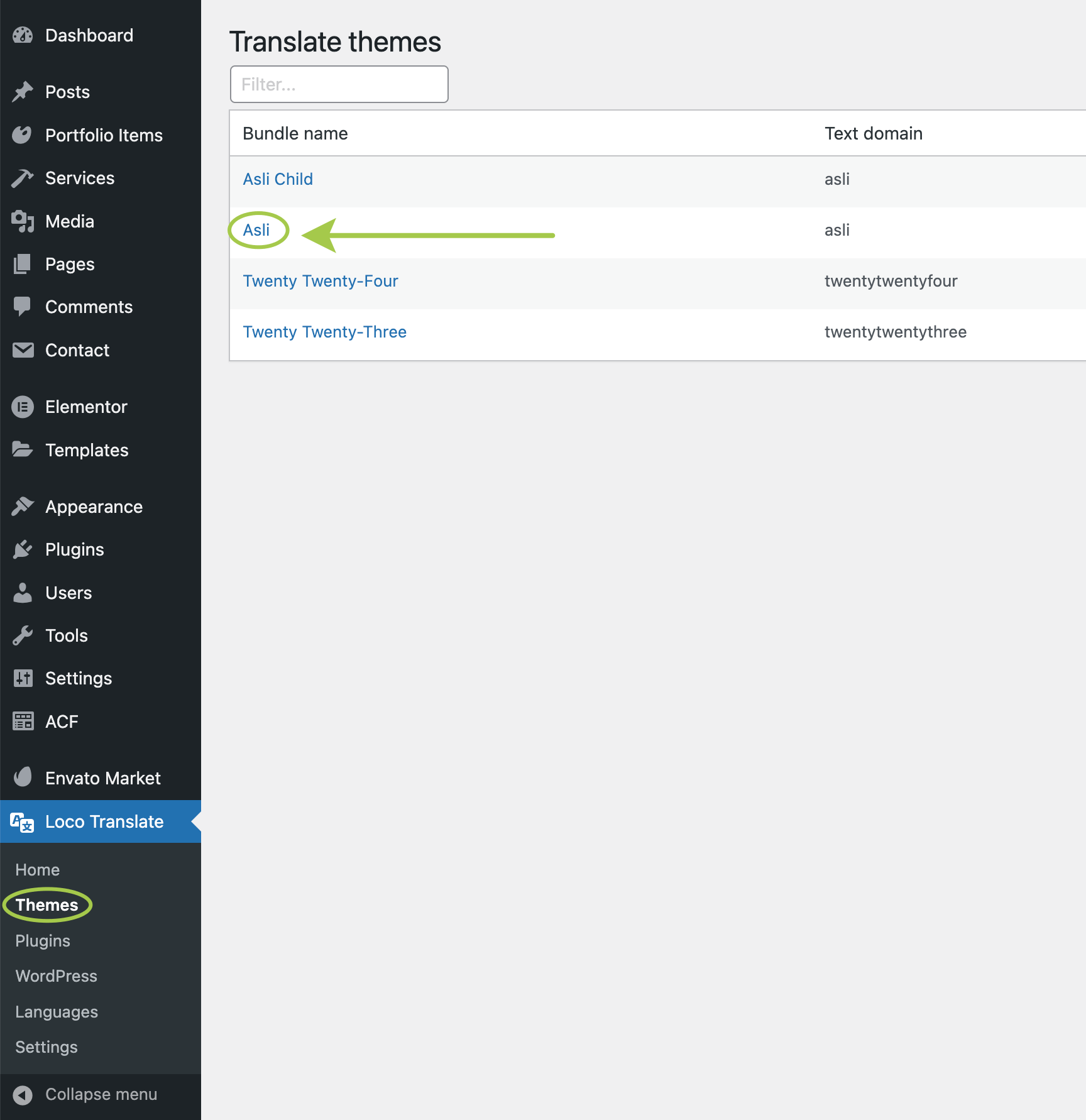 Translating Theme | Asli